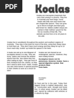 Koala Information Report Template | PDF | Koala | Mammal Orders