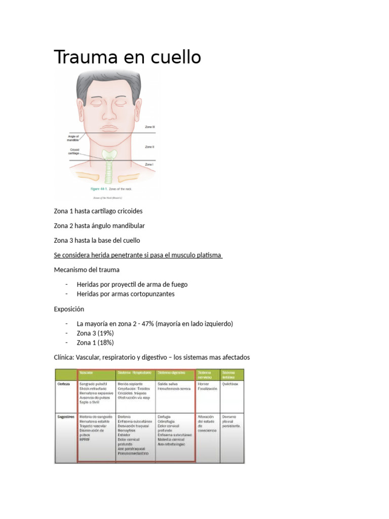 Trauma en cuello | PDF