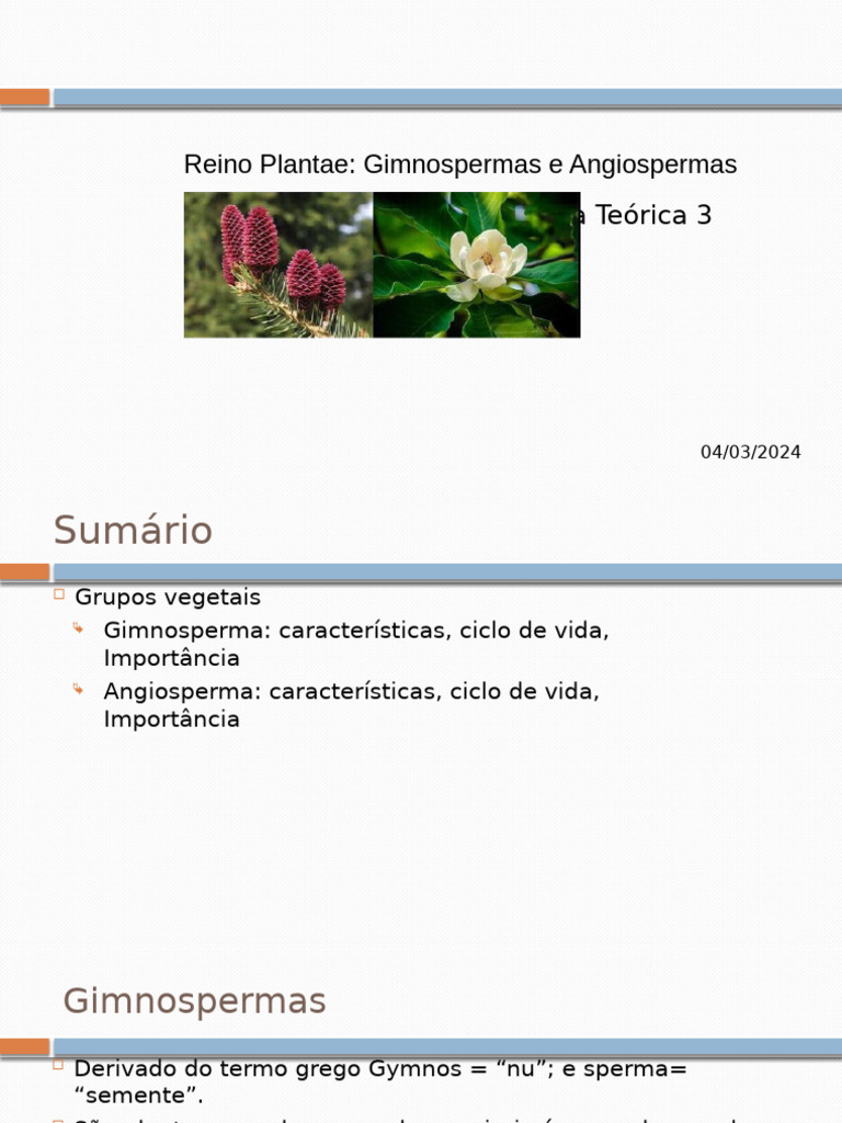 Reino Plantae - Gimnospermas e Angiospermas | PDF | Semente | Flores