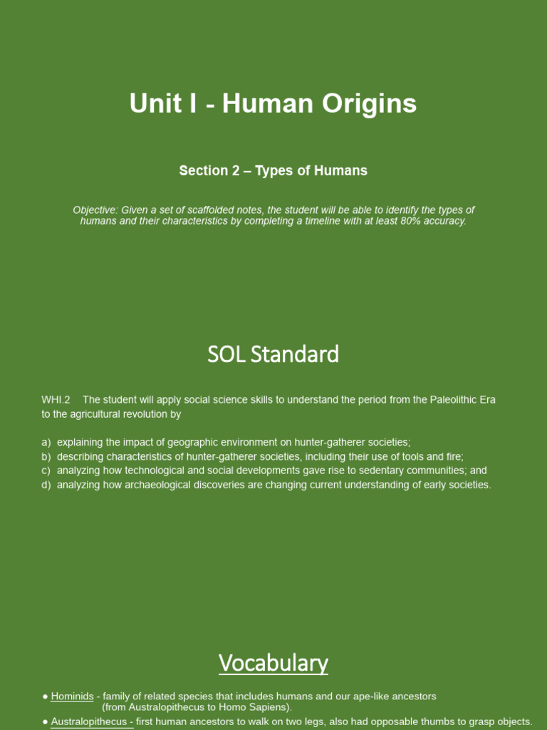 Human Origins PowerPoint Section 2 | PDF | Homo | Human Evolution