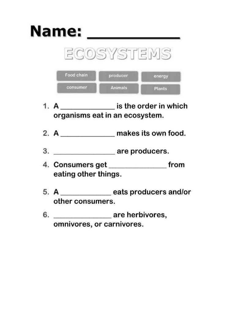 Food Chain Worksheet | PDF