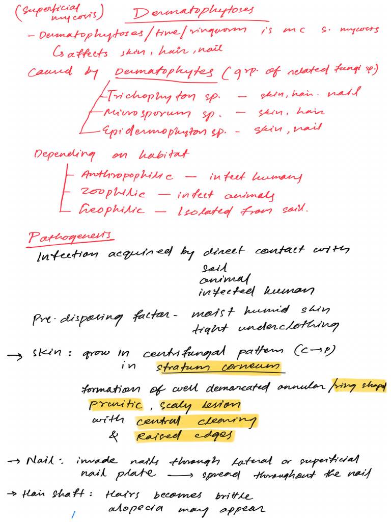Dermatophytosis | PDF