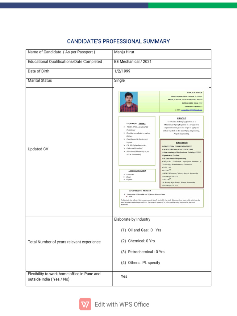 Candidate Professional Summary Form | PDF
