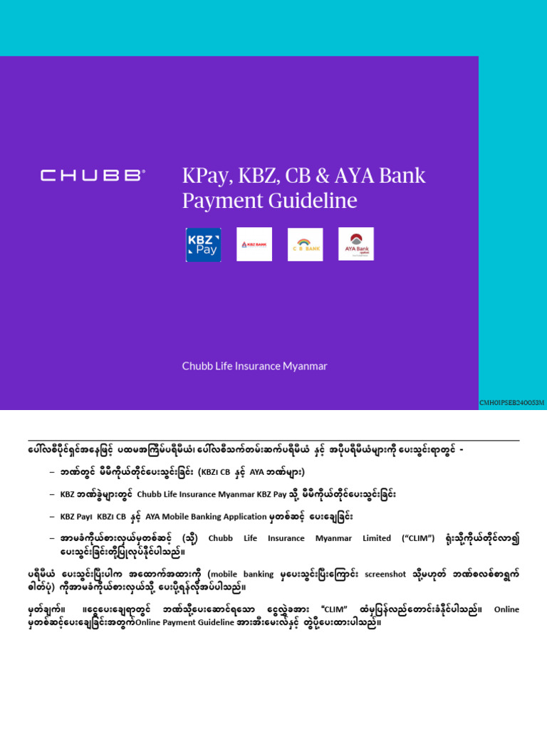 Payment Guide | PDF