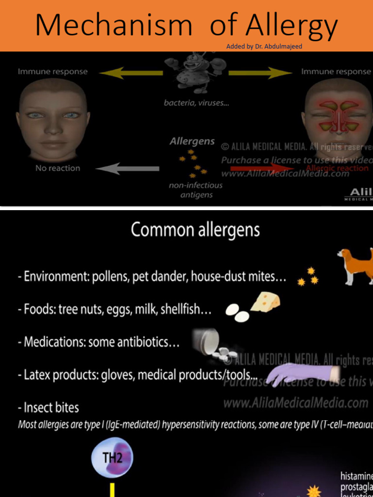 MECHANISMOF ALLERGY Lab 4 | PDF