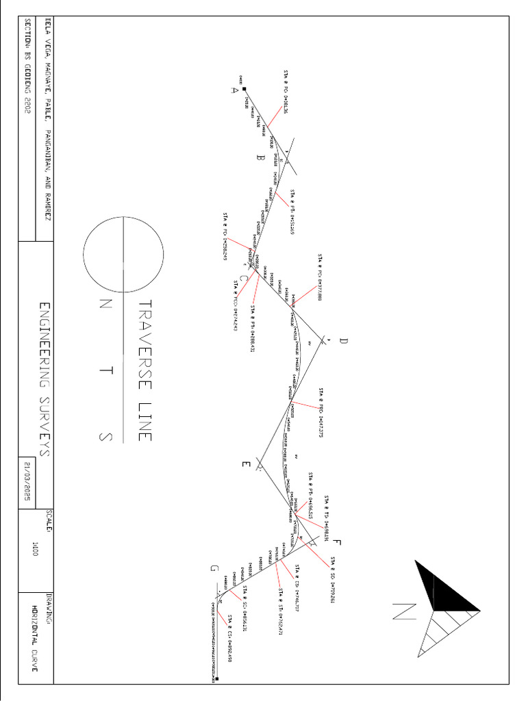 Group1 Horizontal Survey | PDF