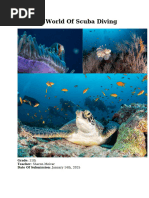 BSAC Nitrox Decompression Tables | PDF