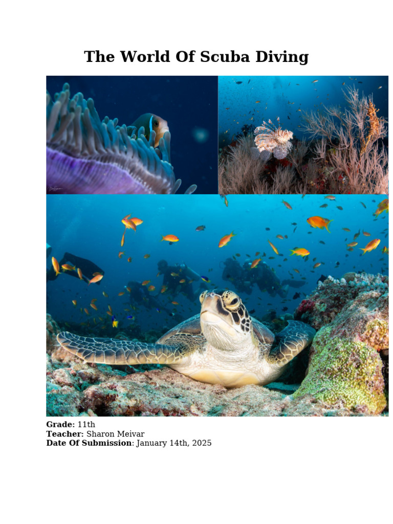 The World of Scuba Diving (Research Questions and Answers) | PDF ...