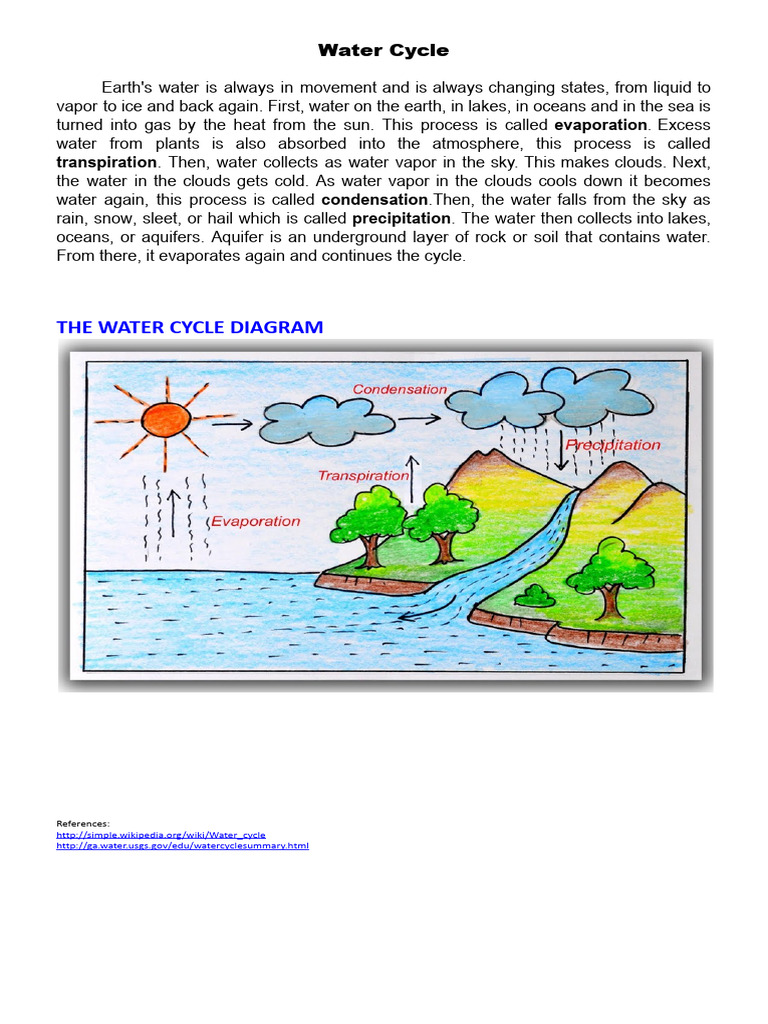Water cycle notes.docx | PDF
