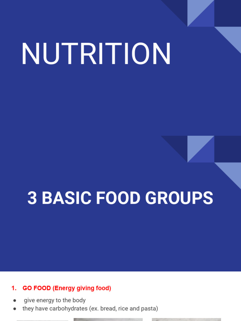 Basic Food Groups | PDF