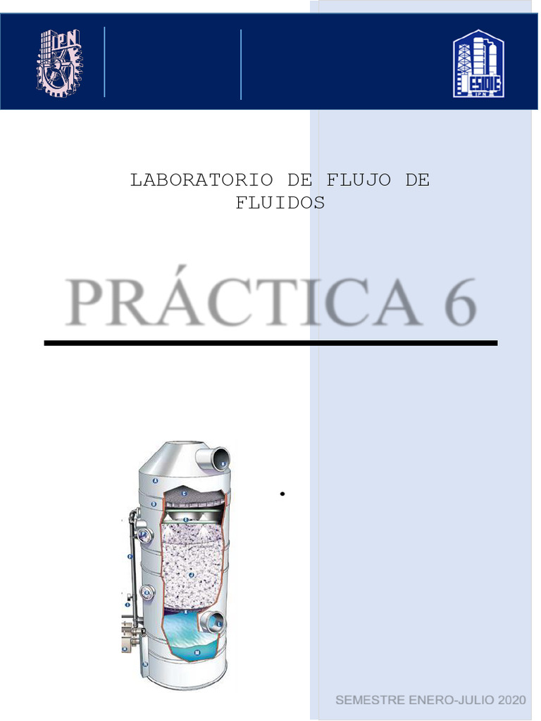 Practica6_CaidaDeP_ColumnasEmpacadas | PDF | Materia suave | Ciencias fisicas