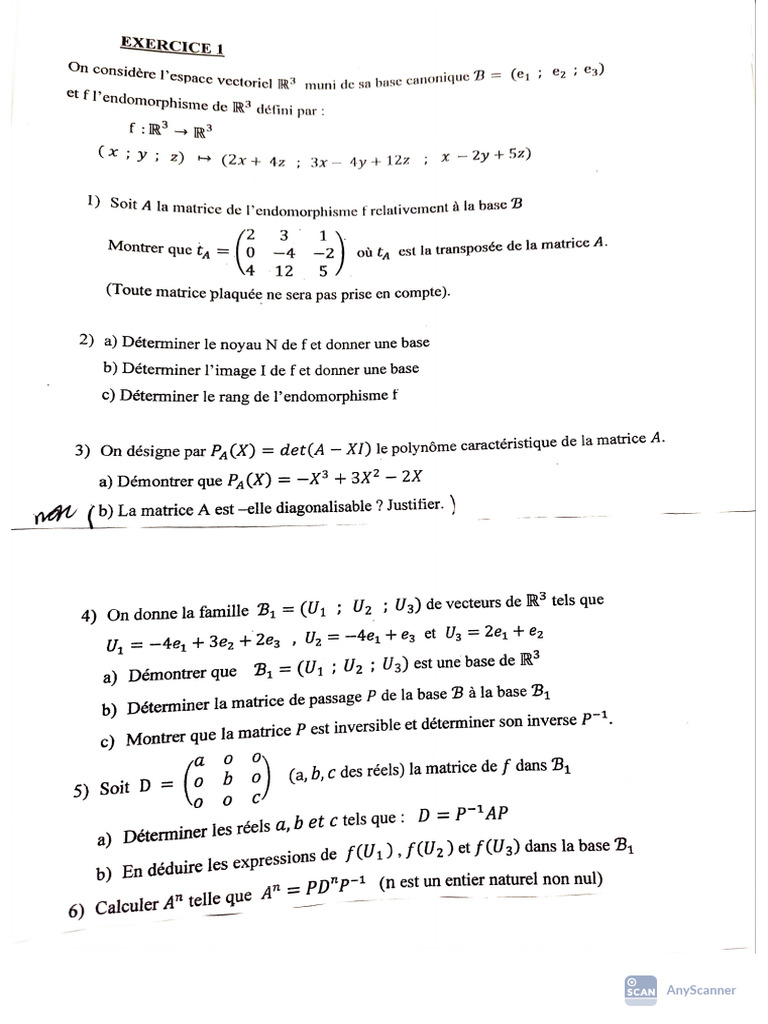 AnyScanner 04 01 2025 | PDF