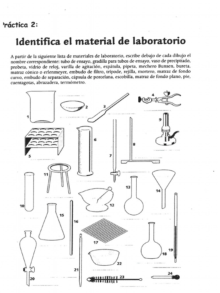 Ficha Material de Laboratorio | PDF