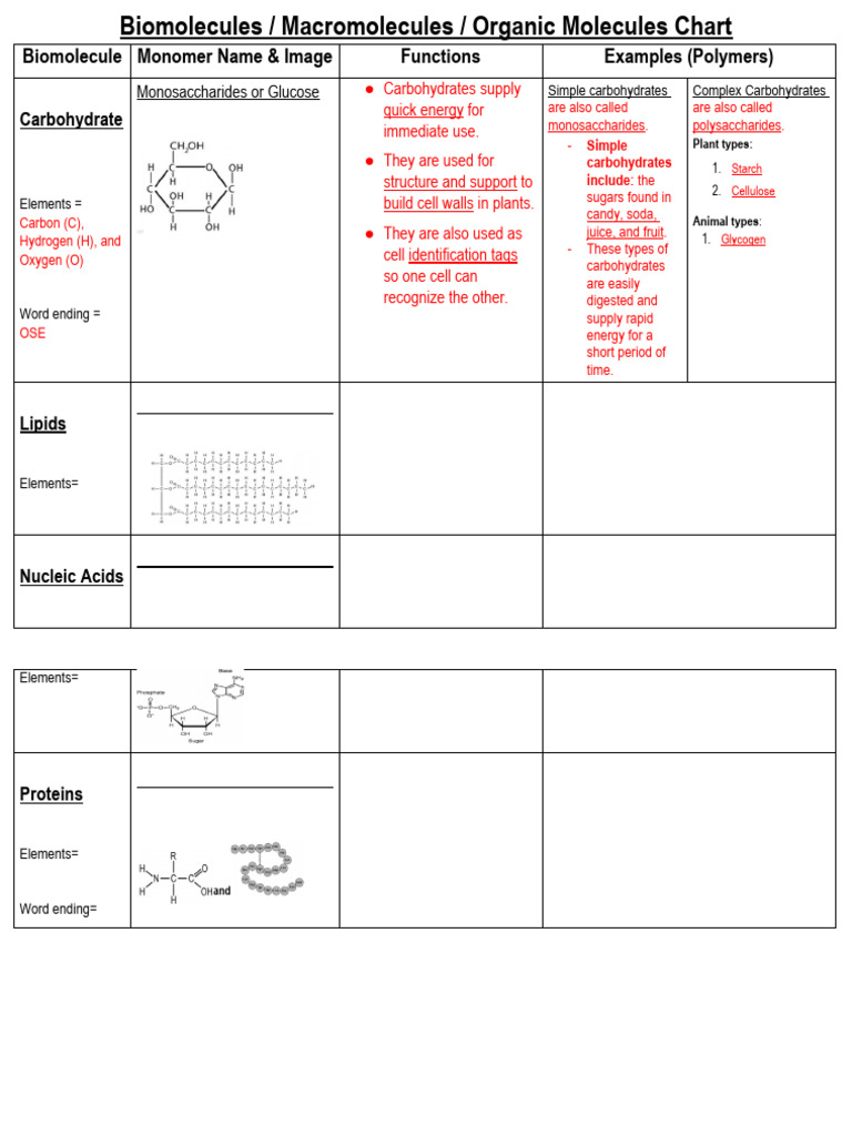 Biomolecules Chart | PDF