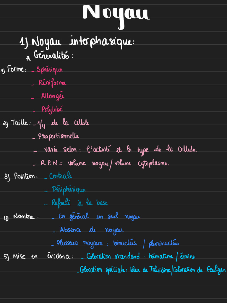 Noyau | PDF