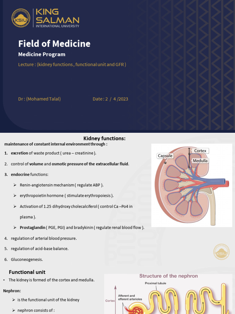 Kidney Functions, Functional Unit and Glomerular Filtration | PDF | Kidney | Urinary System