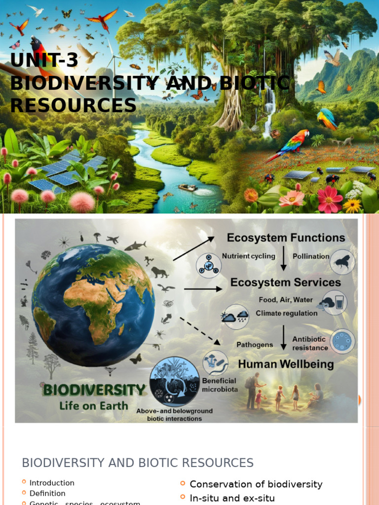 ES Unit 3 Biodiversity and Biotic Resource | PDF | Biodiversity | Ecosystem