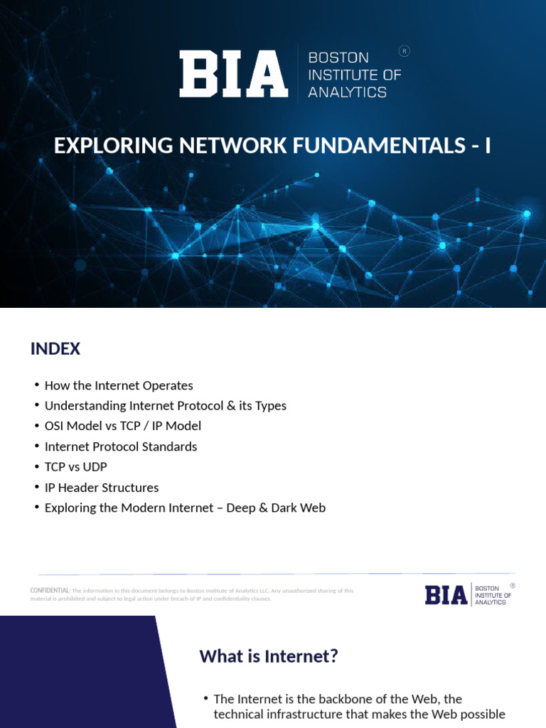 Internet Protocols and Networking Basics | PDF | Internet Protocol ...