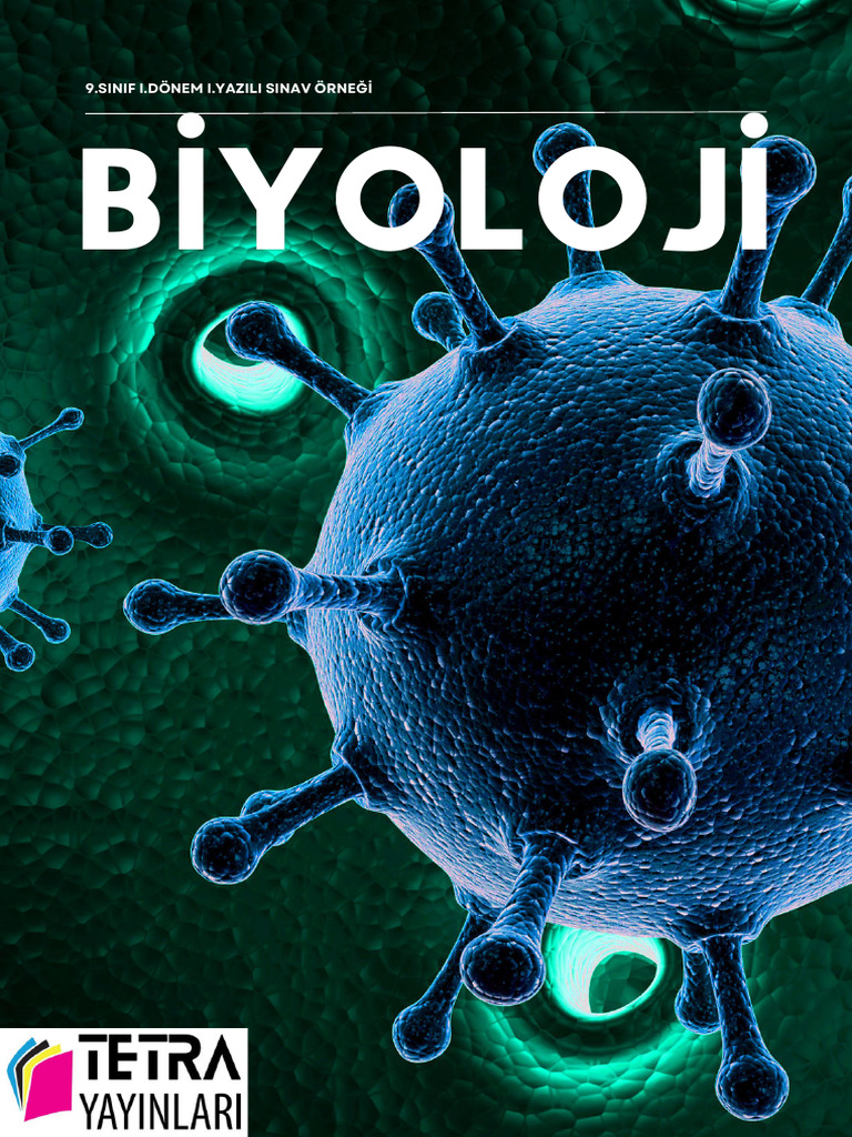 9.sinif Biyoloji Dersi 1.donem 1.yazili Sorulari Ve Cevaplari | PDF