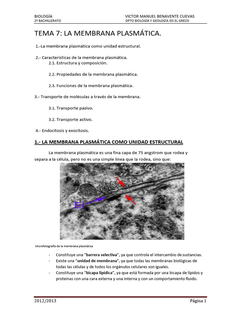 TEMA 7,La membrana plasmÃ¡tica | PDF | Membrana biológica | Membrana celular