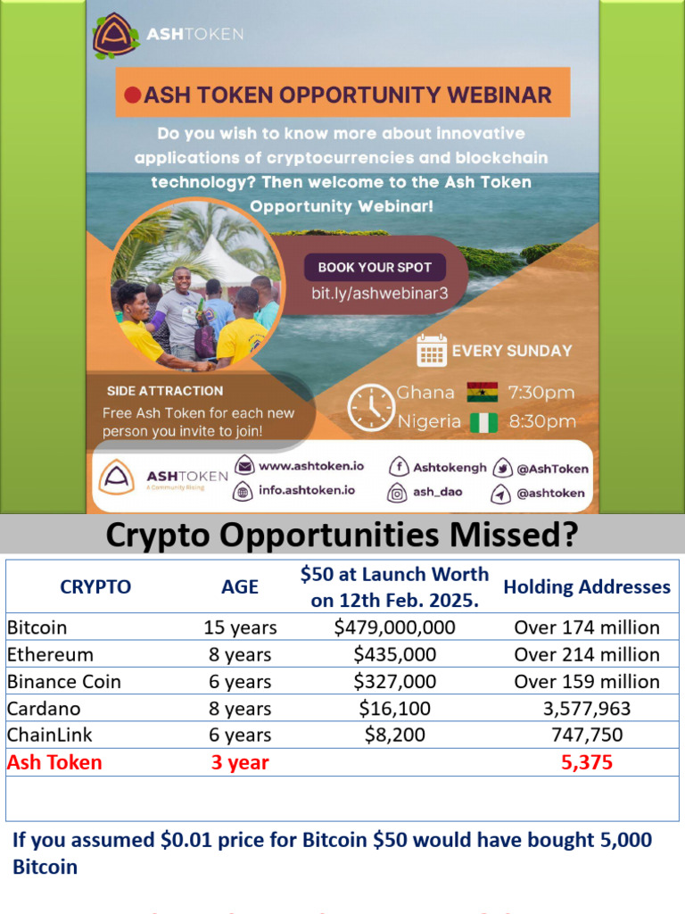 Ash Token Opportunity - Global | PDF | Cryptocurrency | Coal