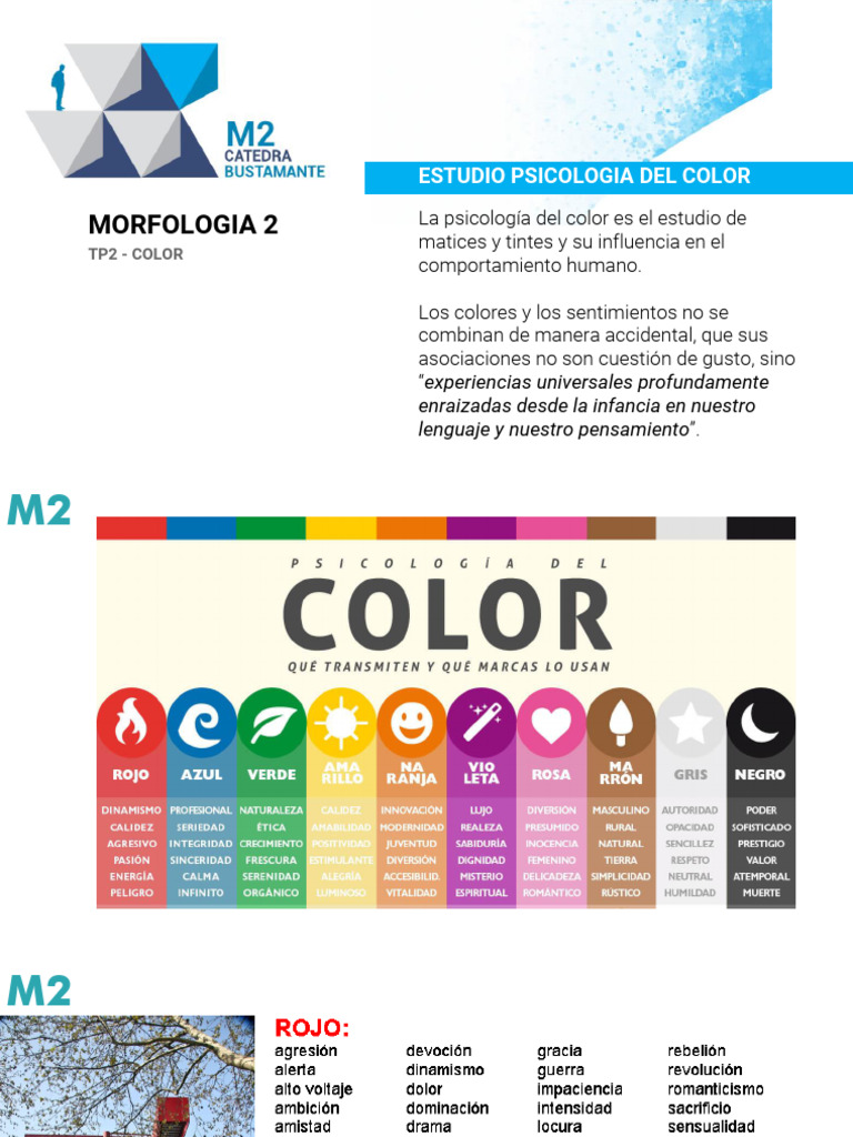 Psicologia Del Color | PDF | Color | Sicología