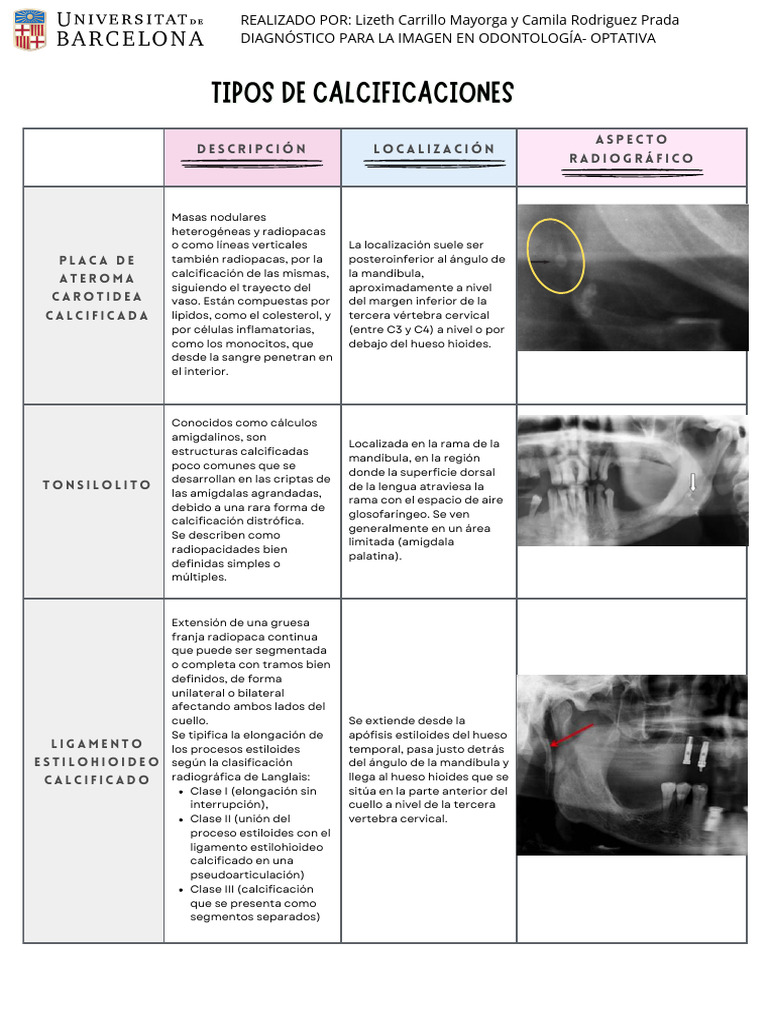 Tipos de Calcificaciones | PDF | Especialidades Medicas