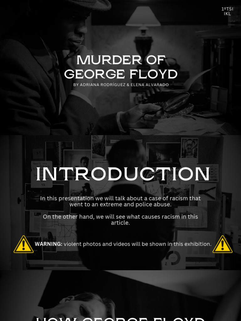 Presentation Elena Adriana | PDF