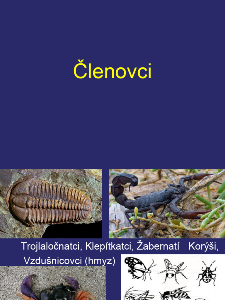Členovci LZ, 2018 | PDF