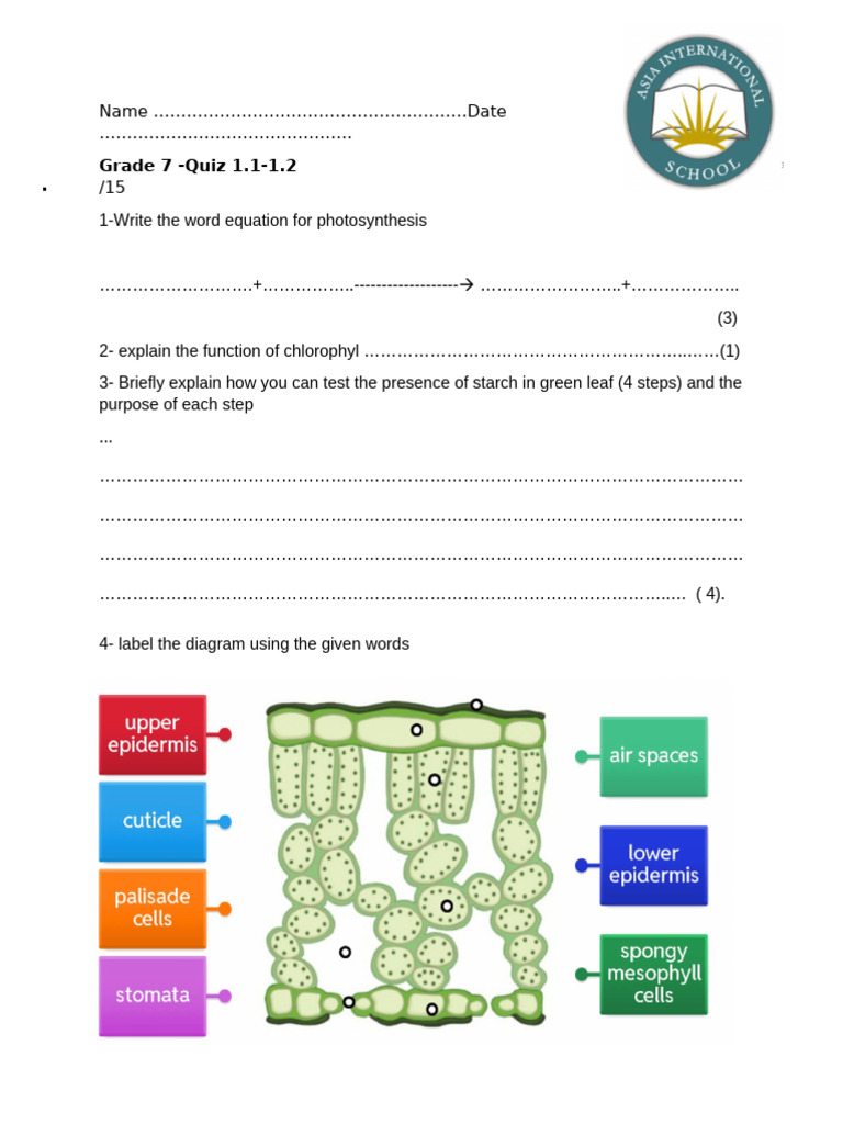 Unit 1 Photosynthesis Quiz | PDF
