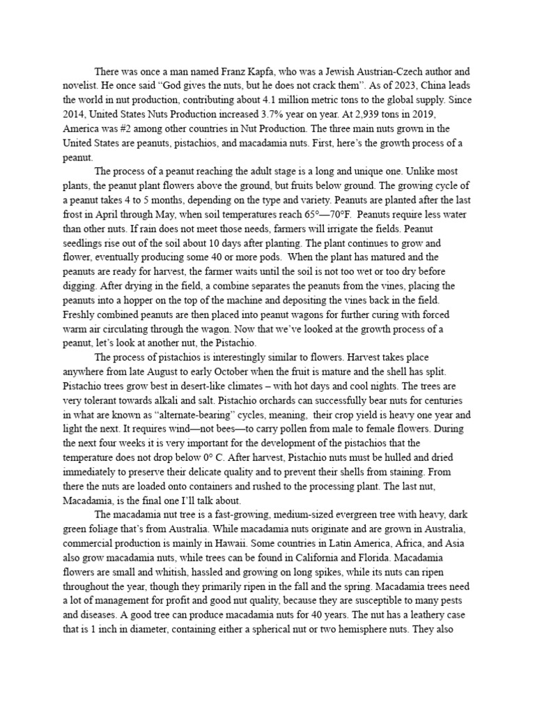 Paragraph Form of Speech About Nuts | PDF | Nut (Fruit) | Peanuts