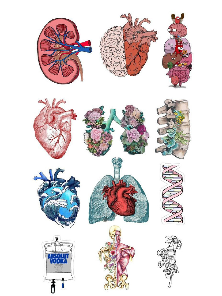 Image To PDF 20250403 16.40.15 | PDF