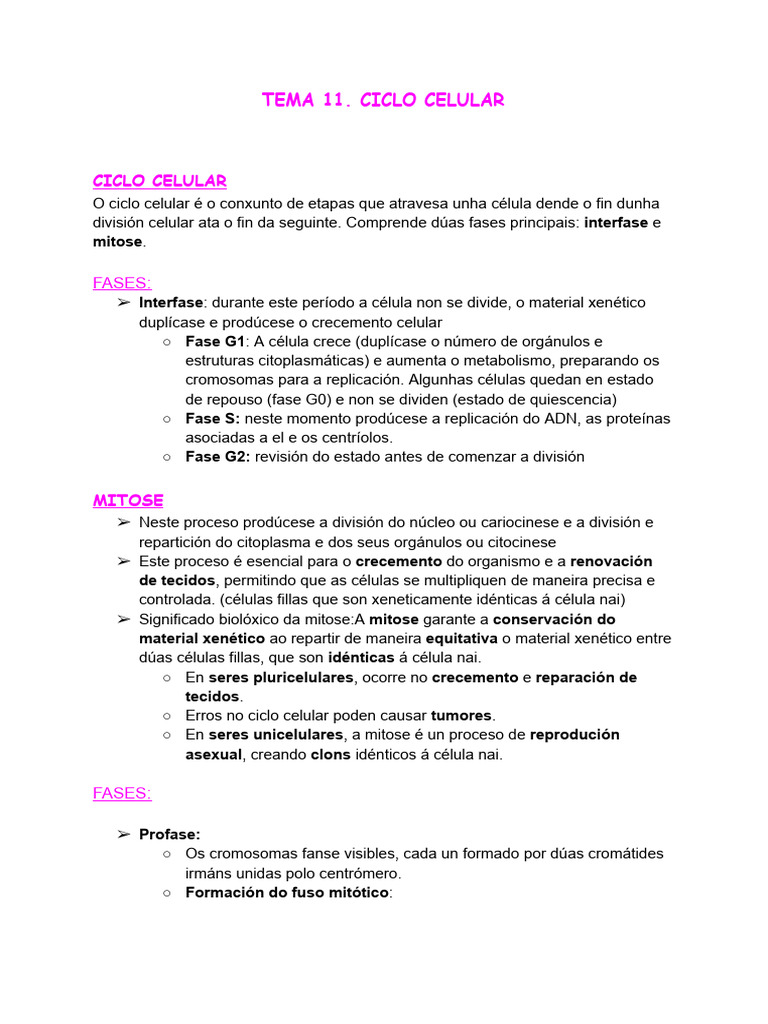 Tema 11 Ciclo Celula | PDF