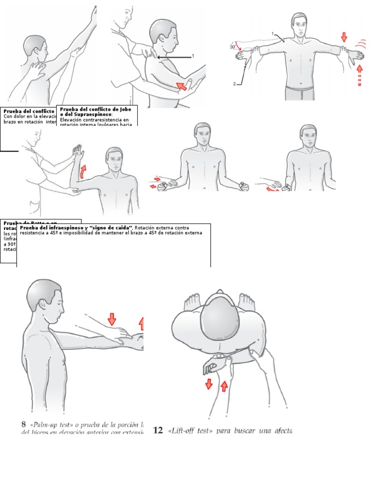 Pruebas - Hombro !!!! | PDF