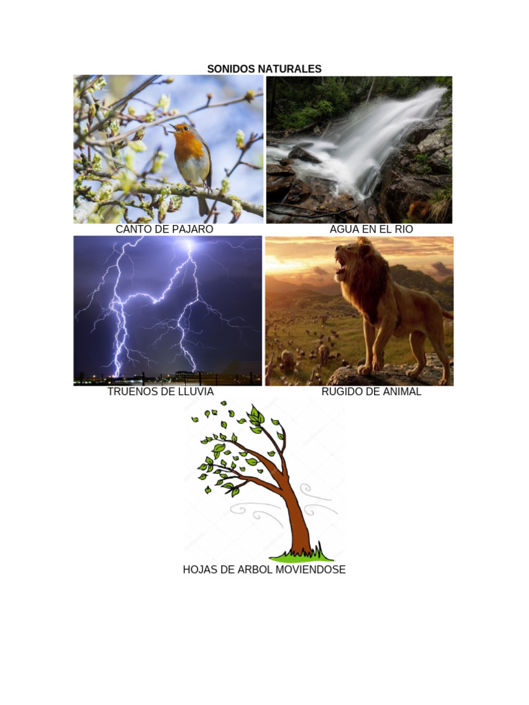 SONIDOS NATURALES | PDF