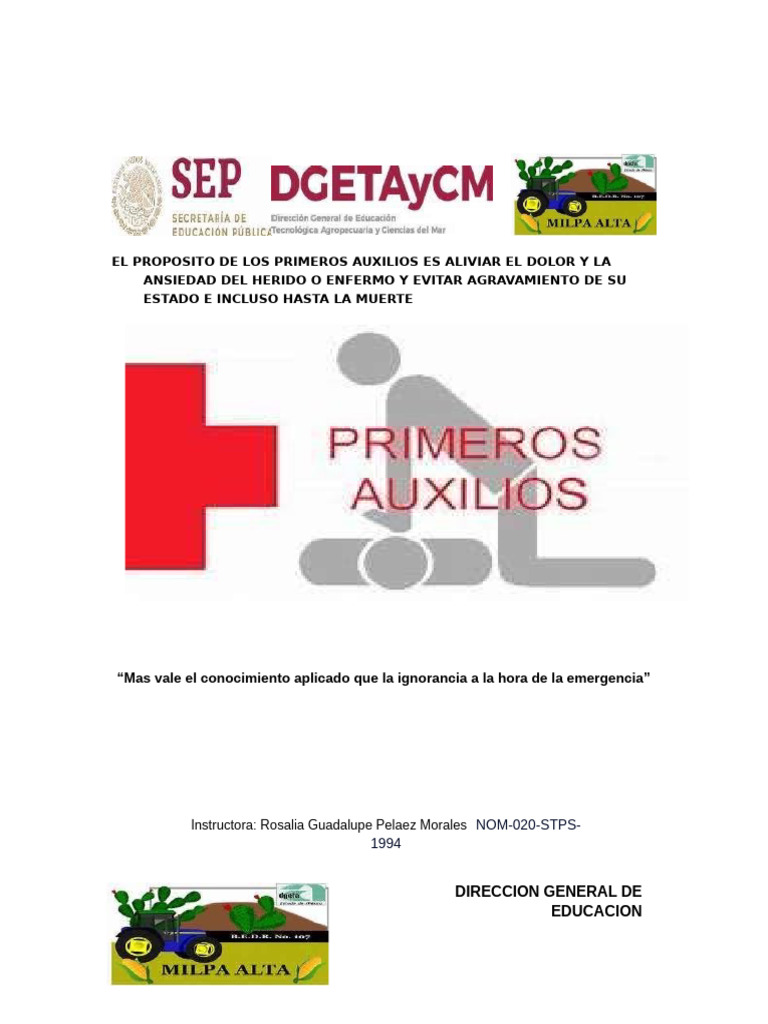 Primeros Auxilios Basicos | PDF | Reanimación cardiopulmonar | Especialidades Medicas