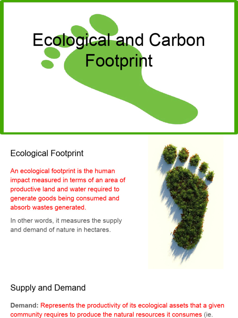 Understanding Ecological and Carbon Footprints | PDF | Carbon Footprint ...