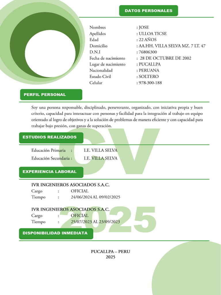 CV 2025 de Jose Ulloa Ticse | PDF