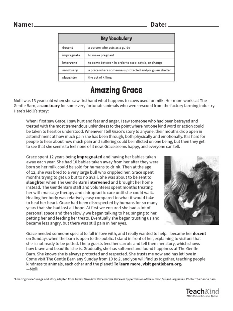 Amazing Grace: Name: Date | PDF | Cattle