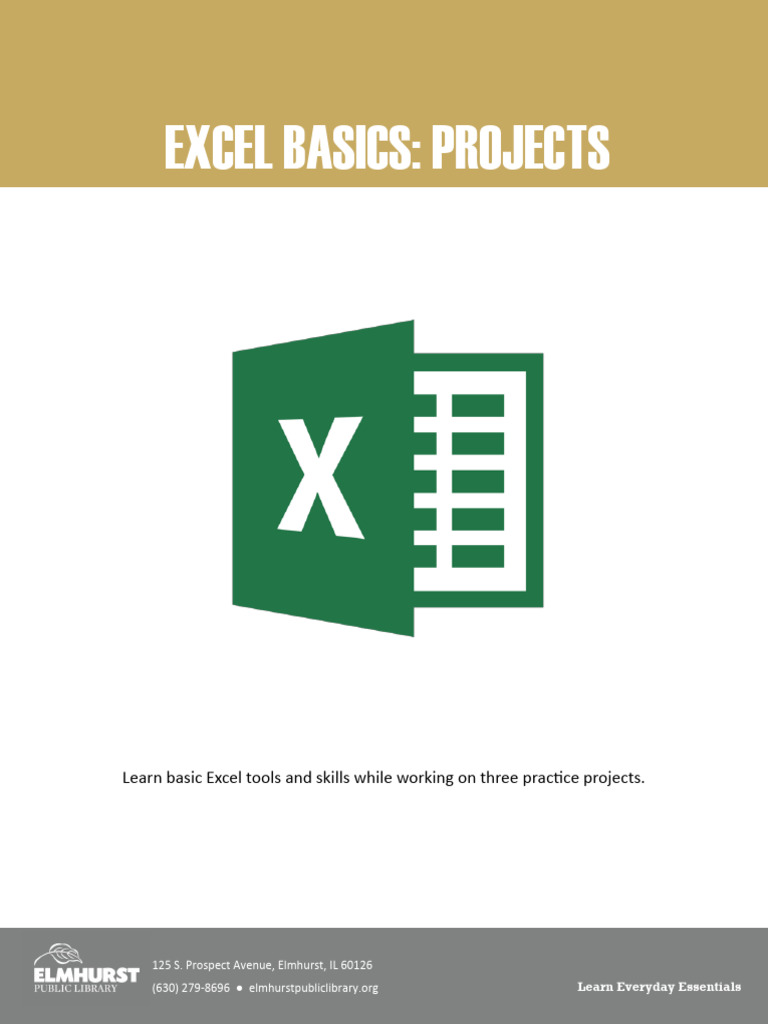 ExcelBasicsProjects Handout 030617VH | PDF | Microsoft Excel | Worksheet
