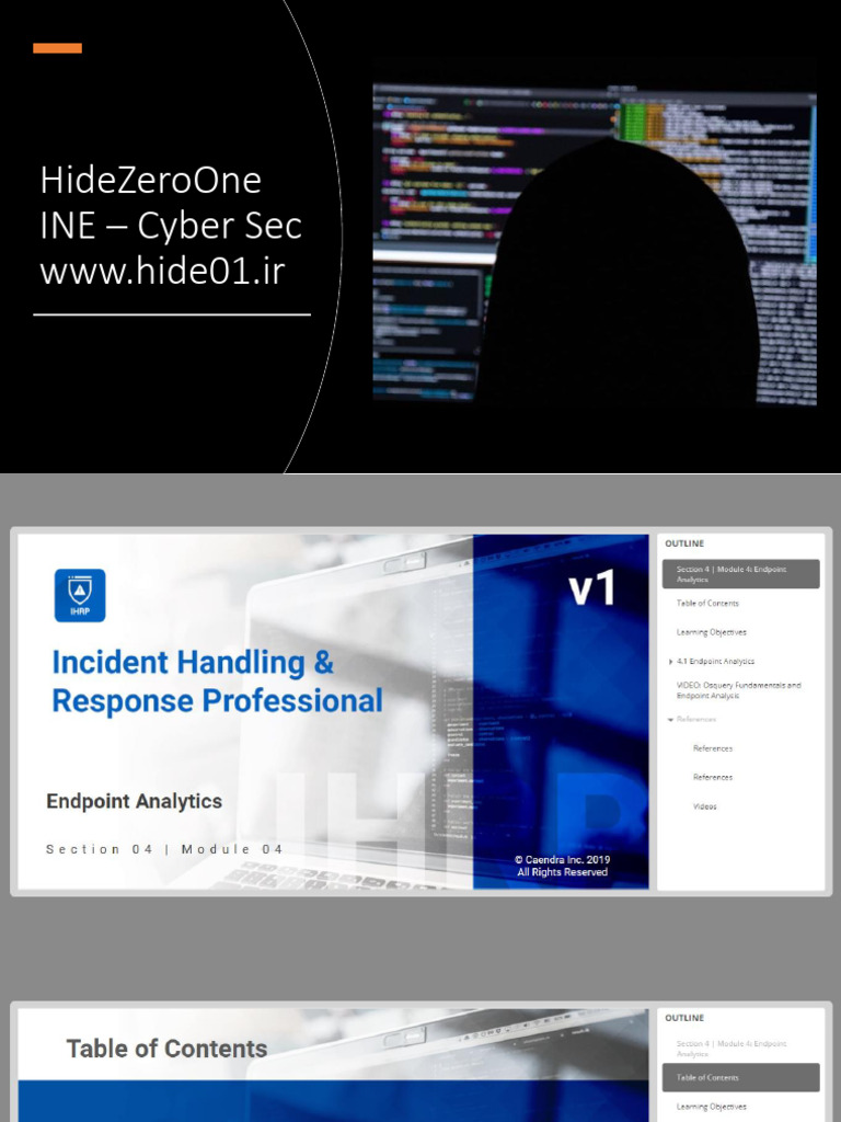Endpoint Analytics Hide01.ir | PDF