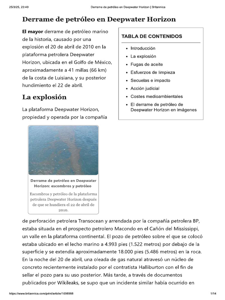Deepwater Horizon | PDF