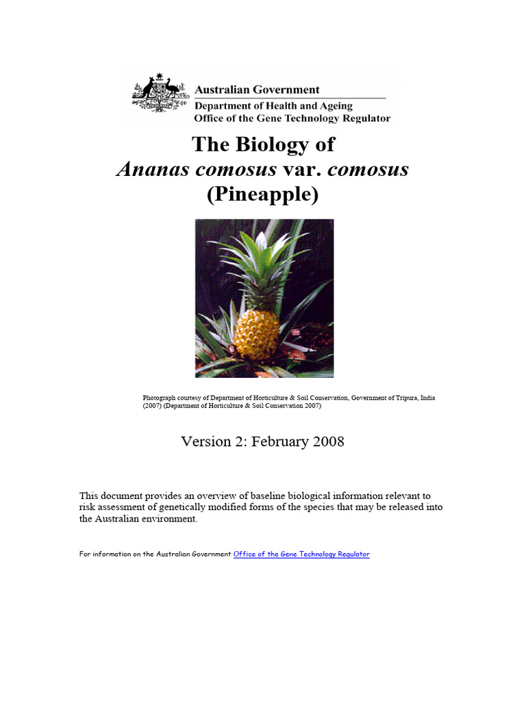 The Biology of Pineapple | PDF | Pineapple | Crop Rotation