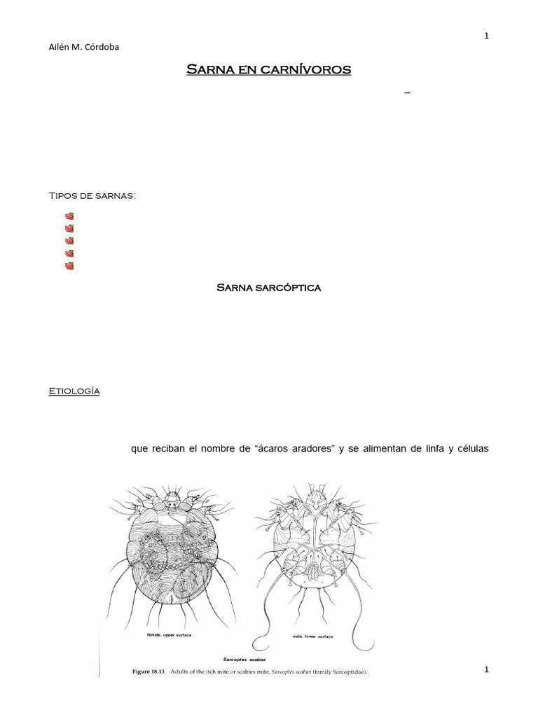 Tipos y Tratamiento de Sarna en Carnívoros | PDF | Sistema inmune | Gatos