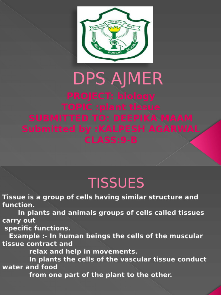 Biology Holiday Homework | PDF | Tissue (Biology) | Plant Stem