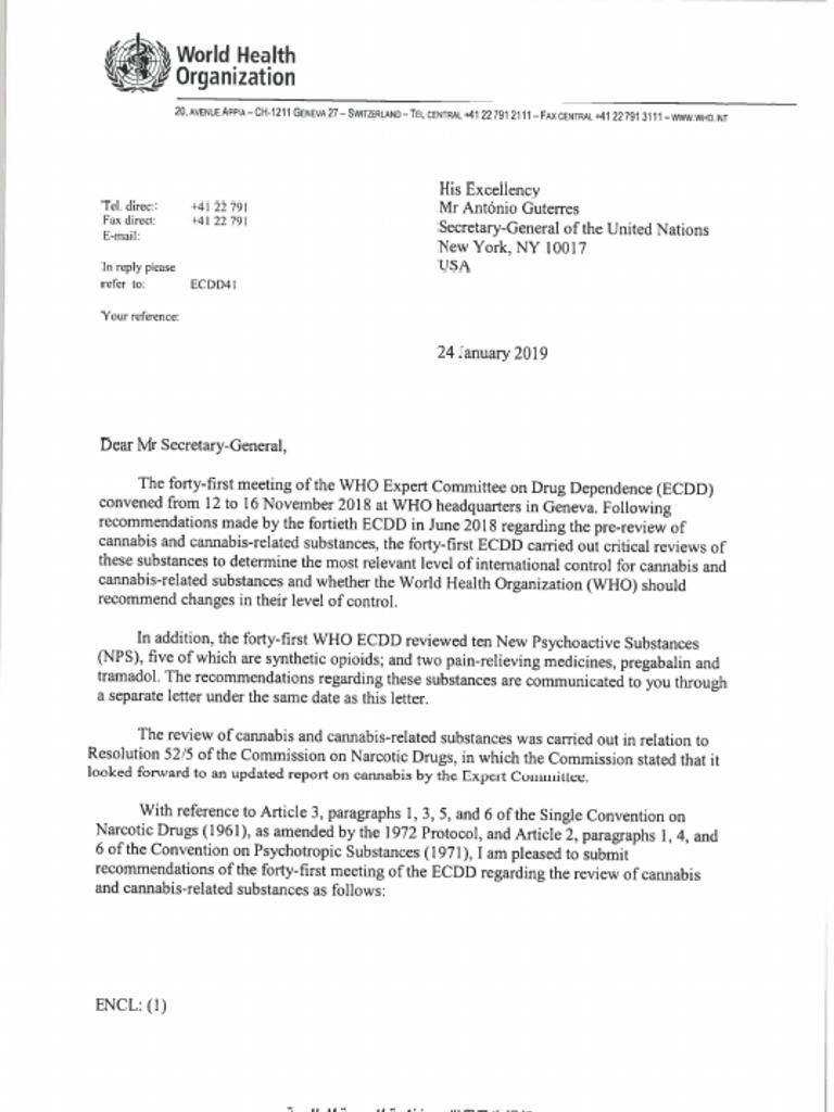 UNSG Letter ECDD41 Recommendations Cannabis 24jan19 | PDF