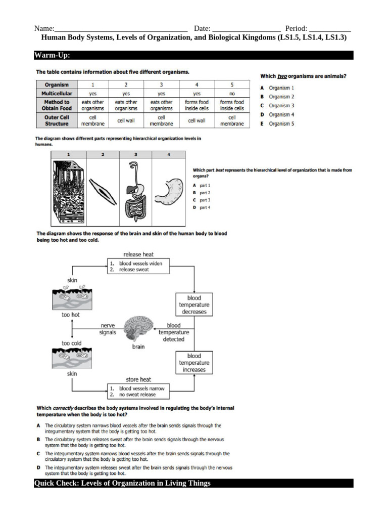 Day 2 Body Systems-Levels-Kingdoms TNReady Review | PDF