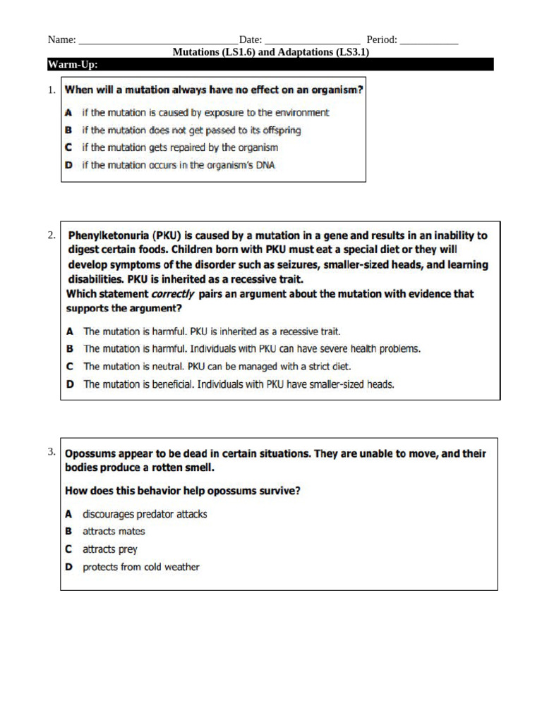 Mutations and Adaptations Worksheet | PDF | Mutation | Biochemistry