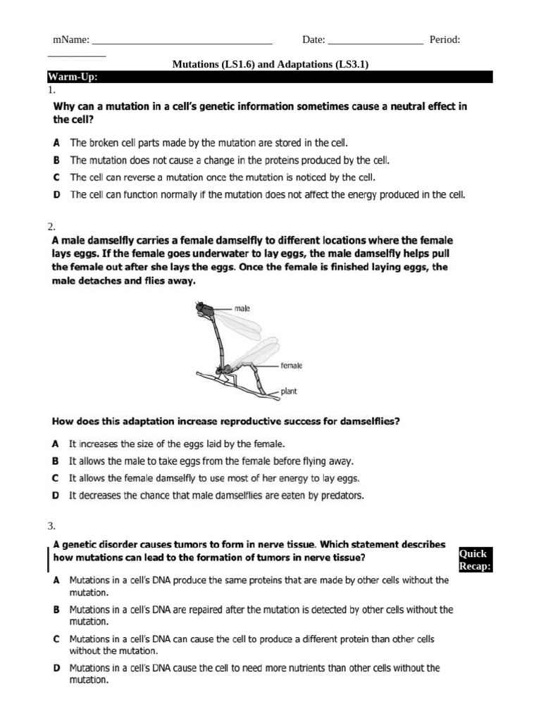 Mutations and Adaptations Worksheet | PDF | Mutation | Adaptation