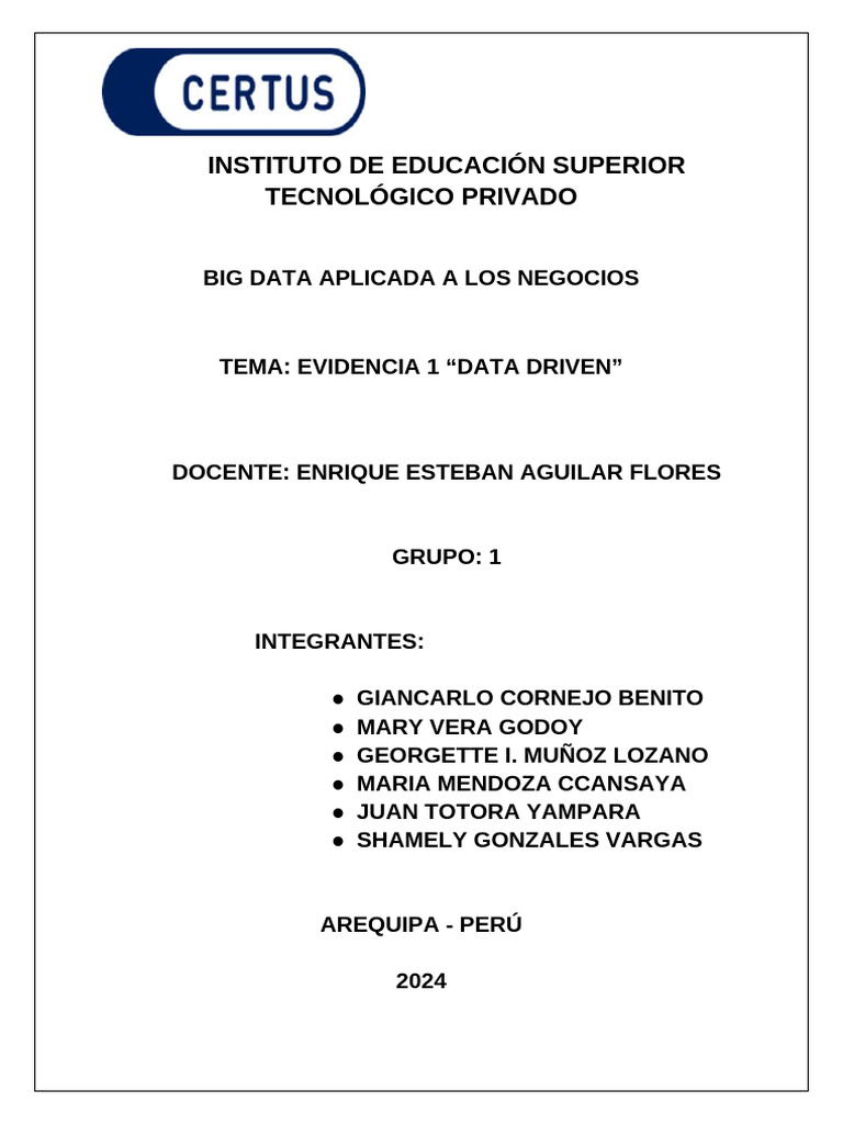Big Data y Enfoque Data Driven en Negocios | PDF | Marketing | Netflix